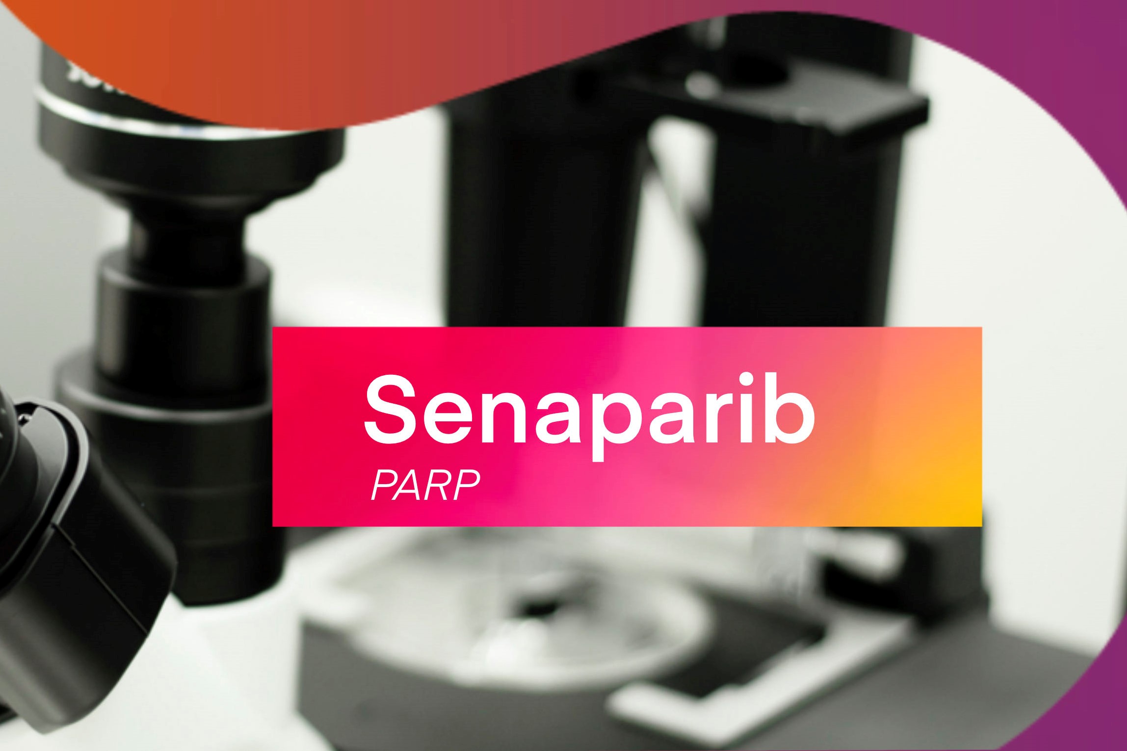 君實生物PARP抑制劑senaparib用於晚期卵巢癌全人群一線維持治療的III期臨床研究達到主要研究終點 - 君实生物